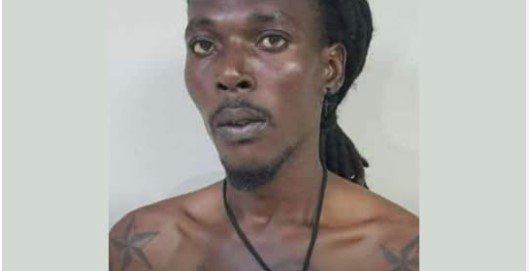 PN entrega a dos miembros de 400 Mawozo a Haití